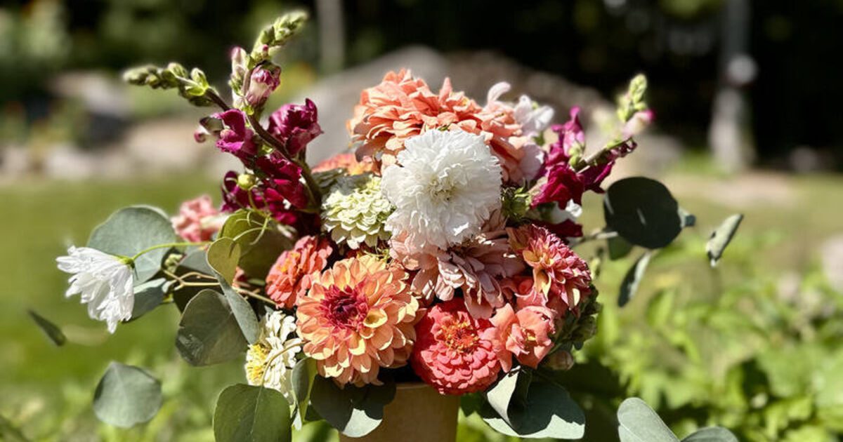 field & wild | Fresh Cut Flower Stand Quincy MA — Pre-Order Bouquets ...